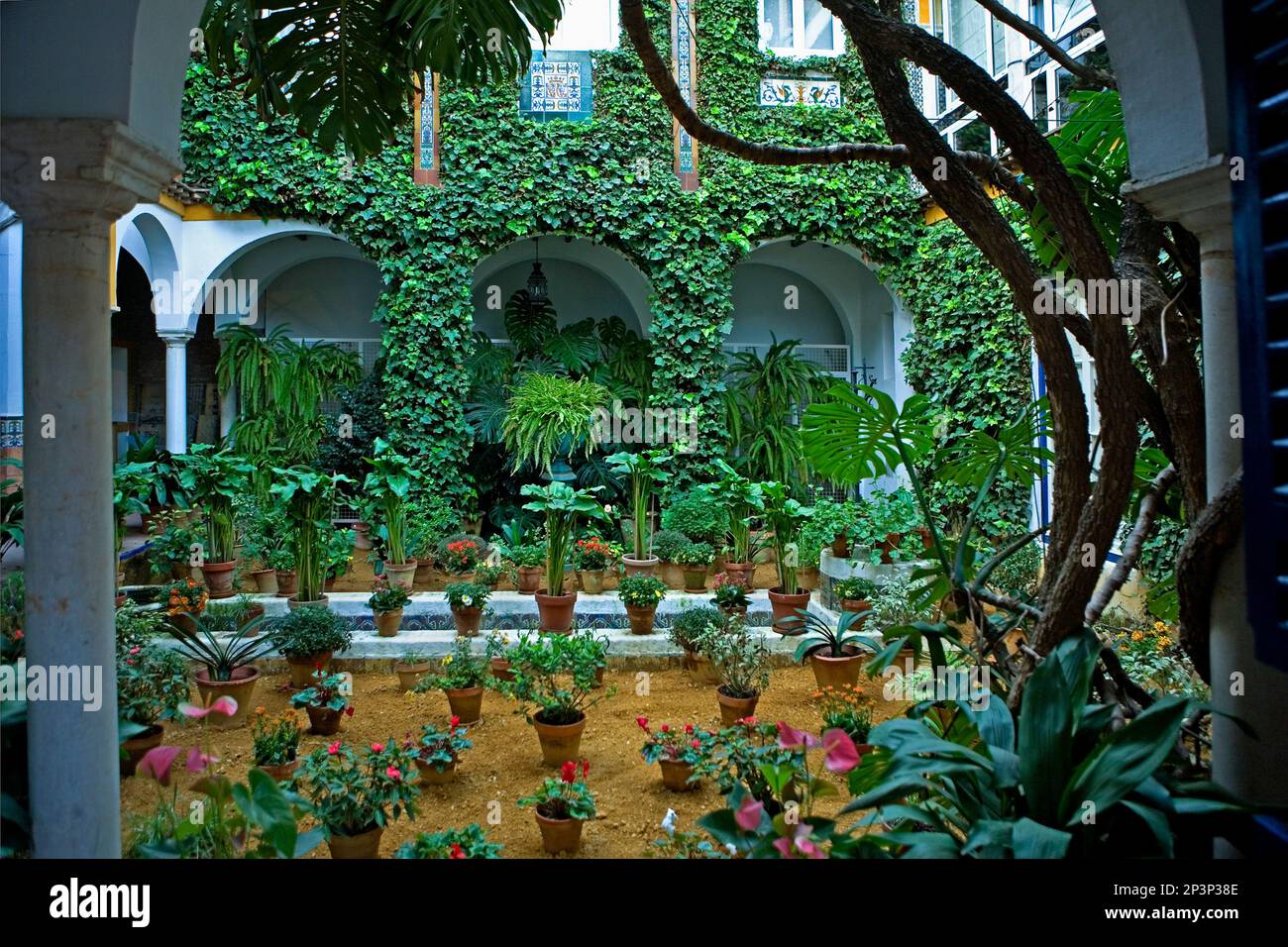 Typical courtyard in Santa Cruz quarter. Seville, Andalusia, Spain ...