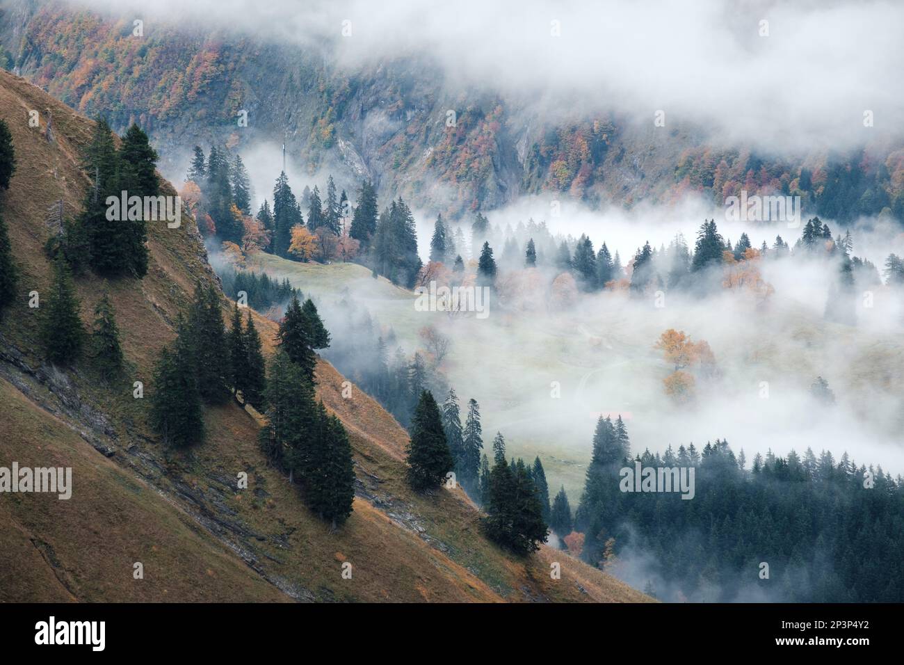 View from the German mountain Nebelhorn on heavily clouded and foggy ...