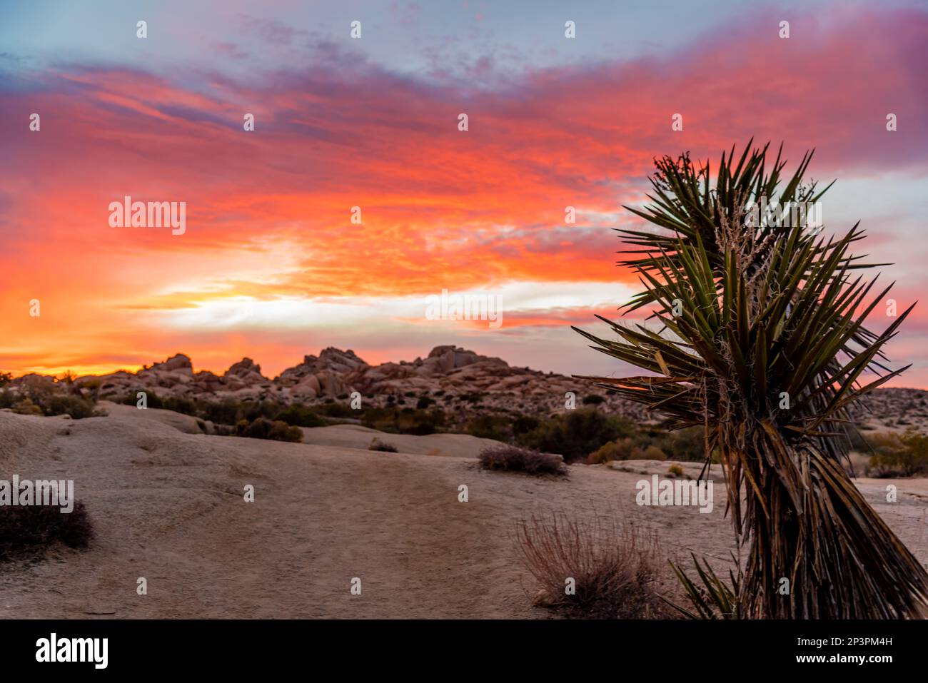 Beautiful sunset pink orange hi-res stock photography and images - Alamy