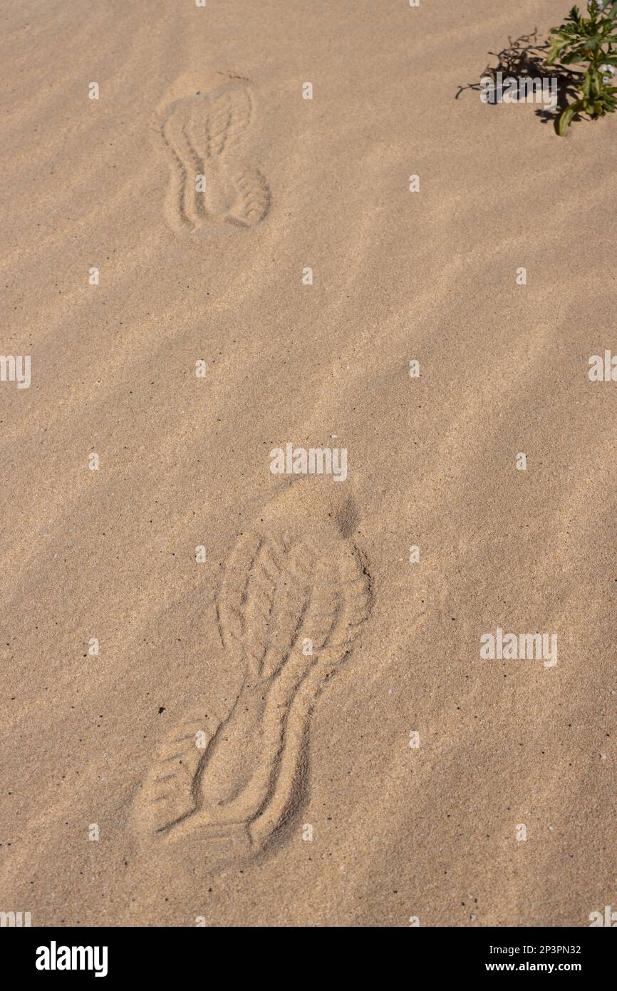 Unique desert in Europe: Natural Park of Corralejo (Parque Natural de ...