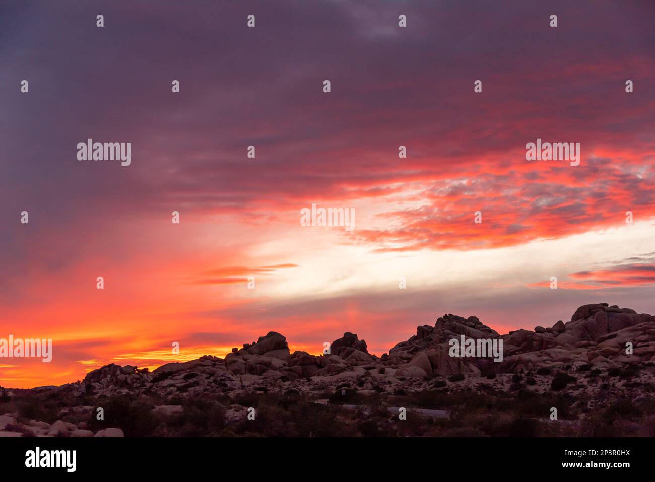 Scenery in beautiful Joshua Tree National Park with pink, orange sky ...