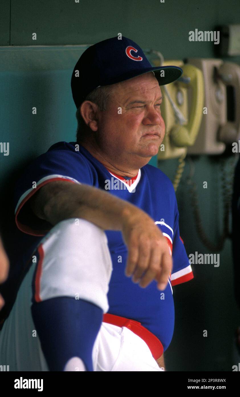 Chicago Cubs Don Zimmer (4) during a game from the1988 season against ...