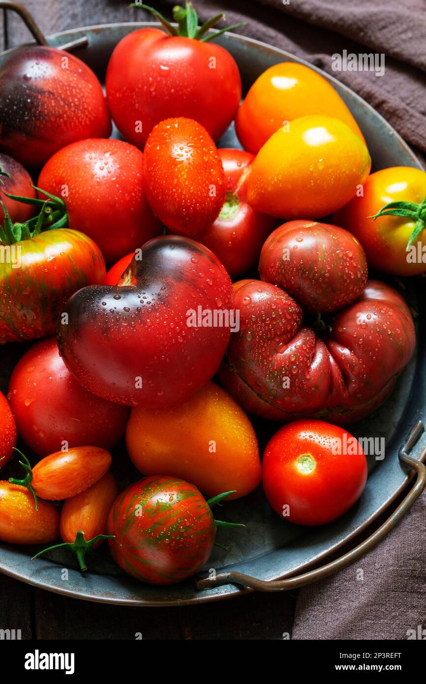 Tomatoes of various varieties and sizes on an iron tray on a wooden ...
