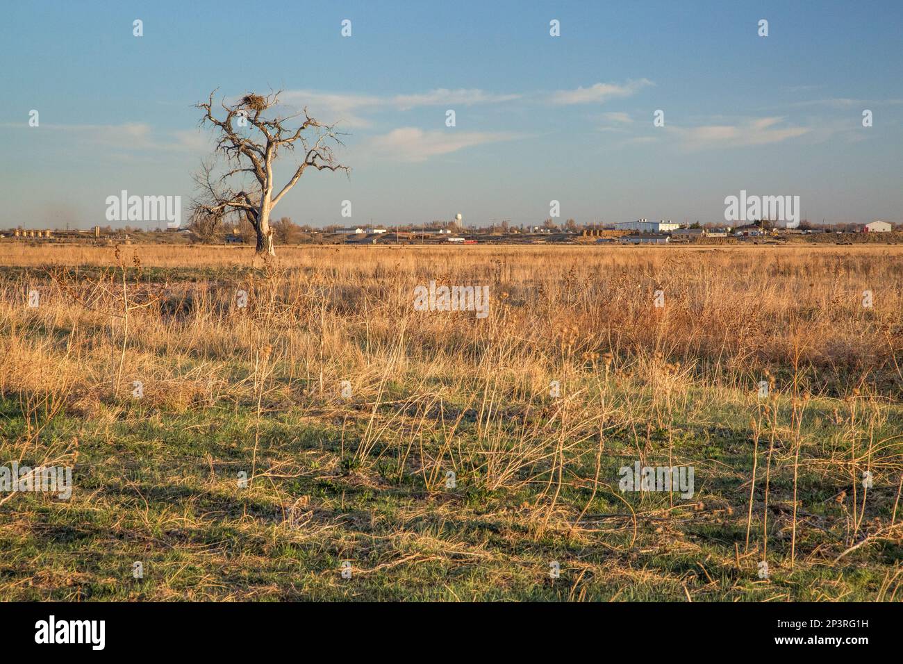 rural landscape of eastern Colorado along the South Platte River with a ...