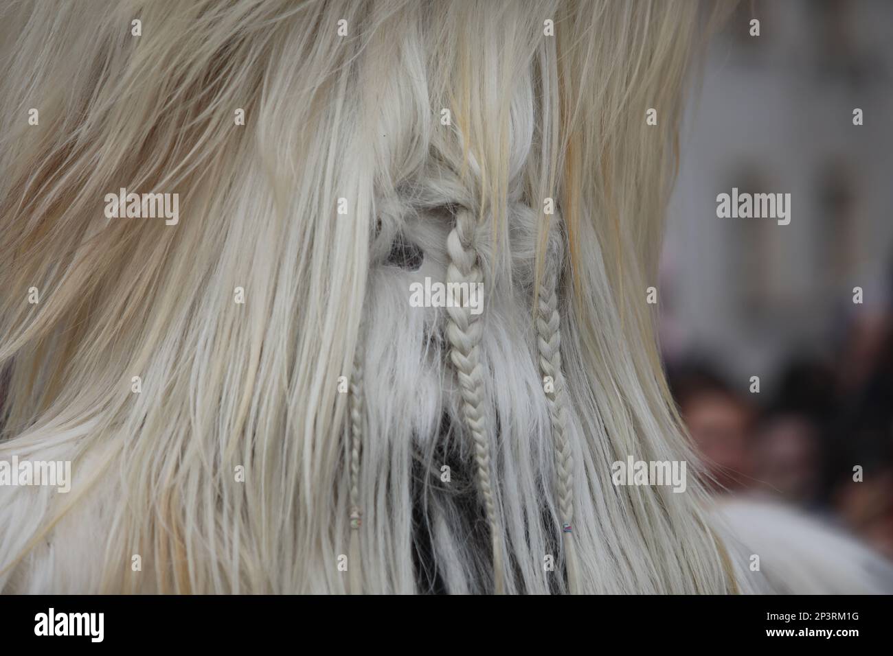 Traditional Kukeri in costume at the Festival of the Masquerade Games ...
