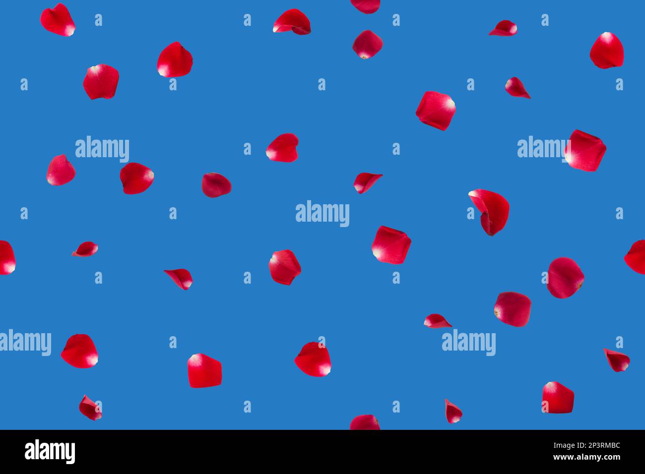 Rose Petals Falling From Sky