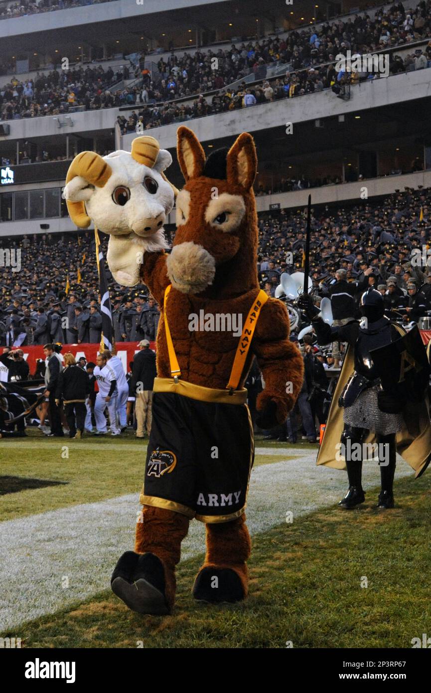 8 December 2012: The Army Black Knights Mule Mascot walks away with the ...