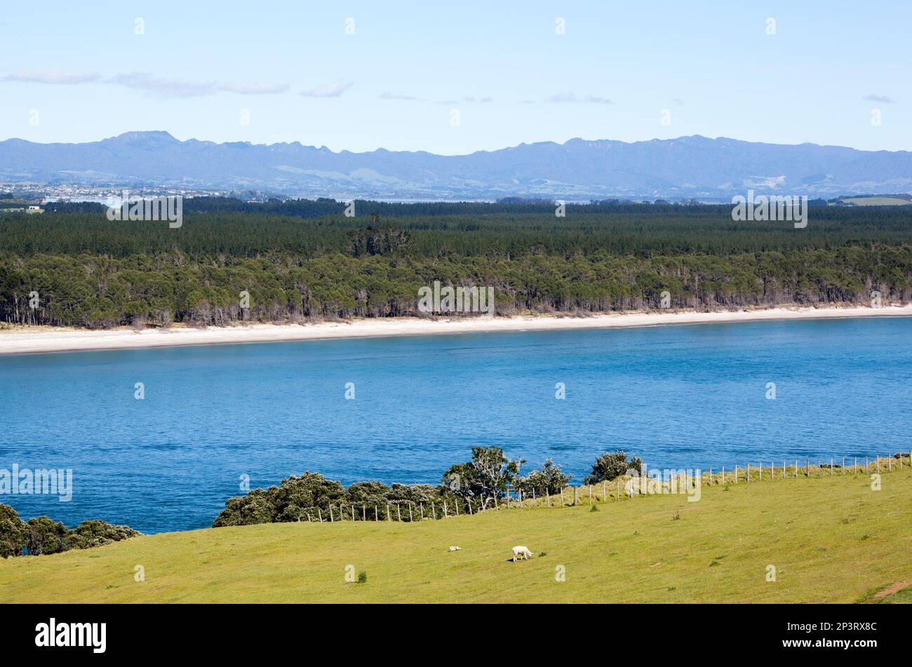 The scenic view of Matakana Island beach from Mount Maunganui resort ...
