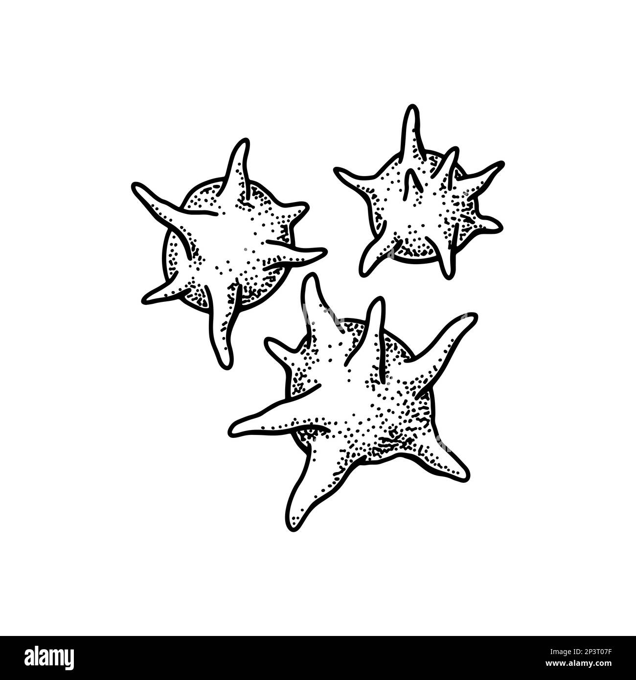 Platelet blood cells isolated on white background. Hand drawn ...