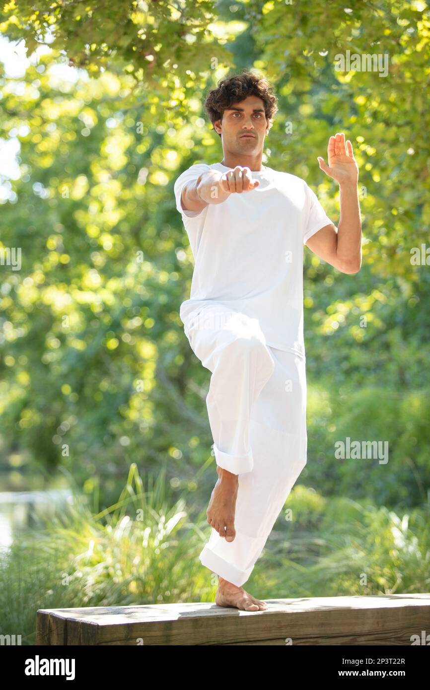 Chinese tai chi master hi-res stock photography and images - Alamy