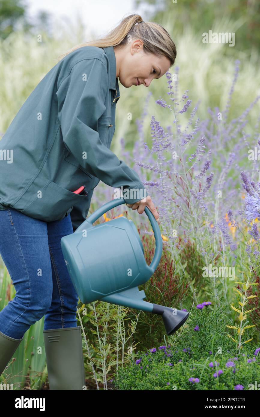 Female gardener watering plants hi-res stock photography and images - Alamy