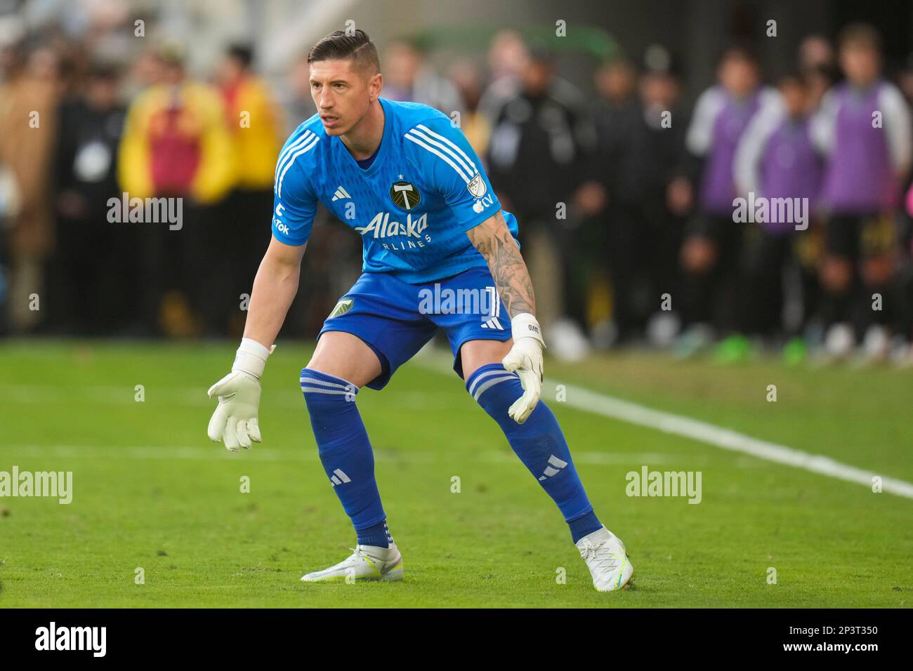 Portland Timbers goalkeeper David Bingham guards the goal during the ...