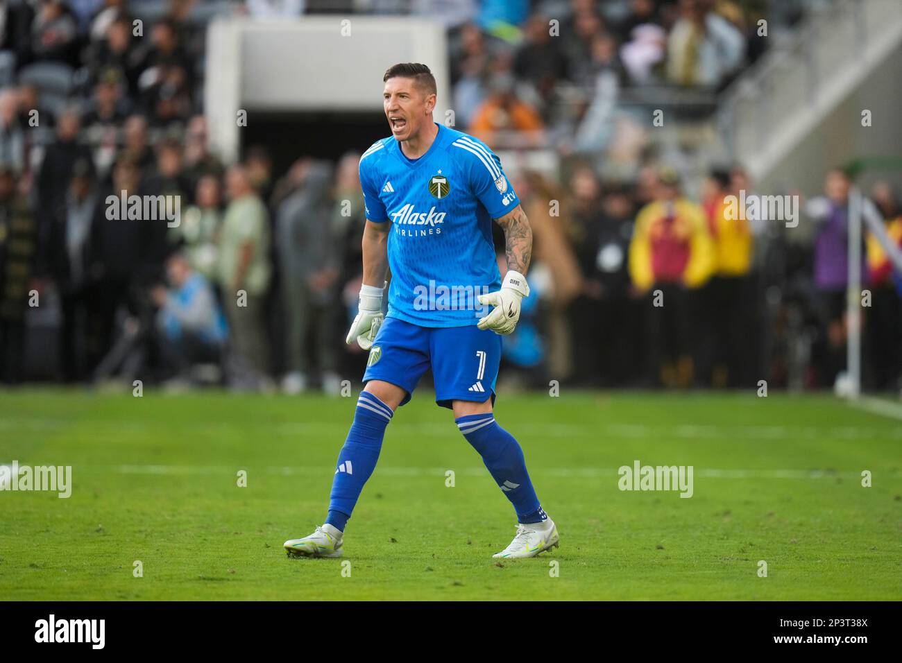 Portland Timbers goalkeeper David Bingham reacts during the second half ...