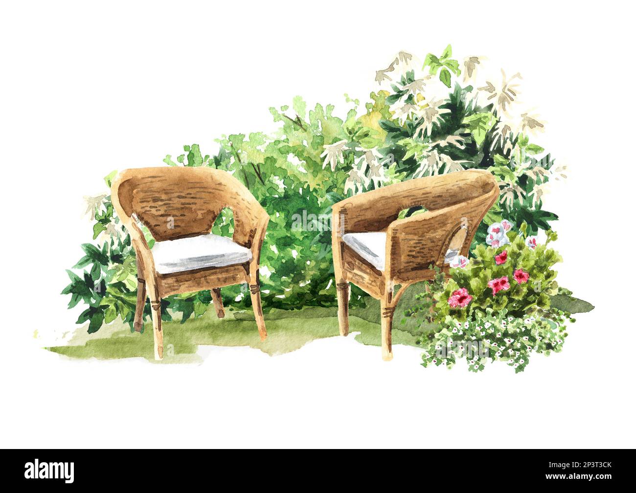 Relax zone in a cozy blooming garden. Wicker chairs . Hand drawn ...