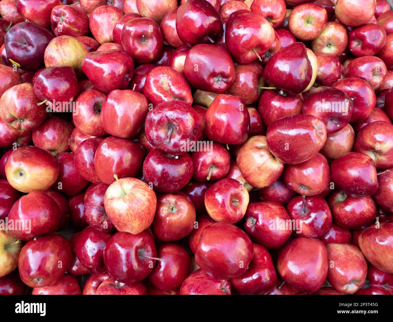Manzanas rojas rojas hi-res stock photography and images - Alamy