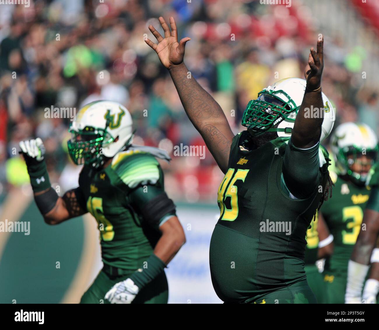 Defensive tackle Todd Chandler (95) celebrates after a pass ...