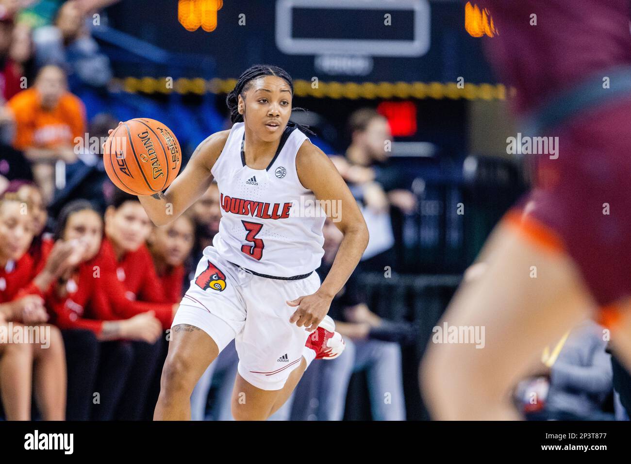 20230305 3 hi-res stock photography and images - Alamy