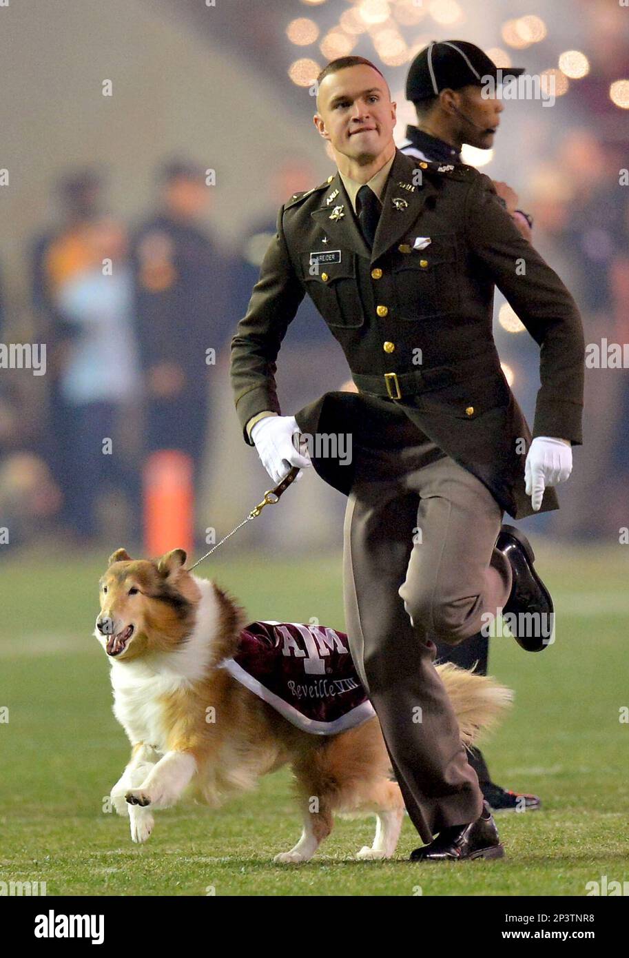 Reveille Viii