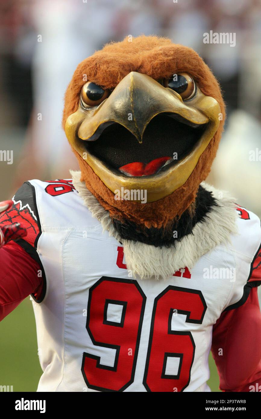 Utah Utes Swoop (mascot) during a game against the Stanford Cardinal on ...