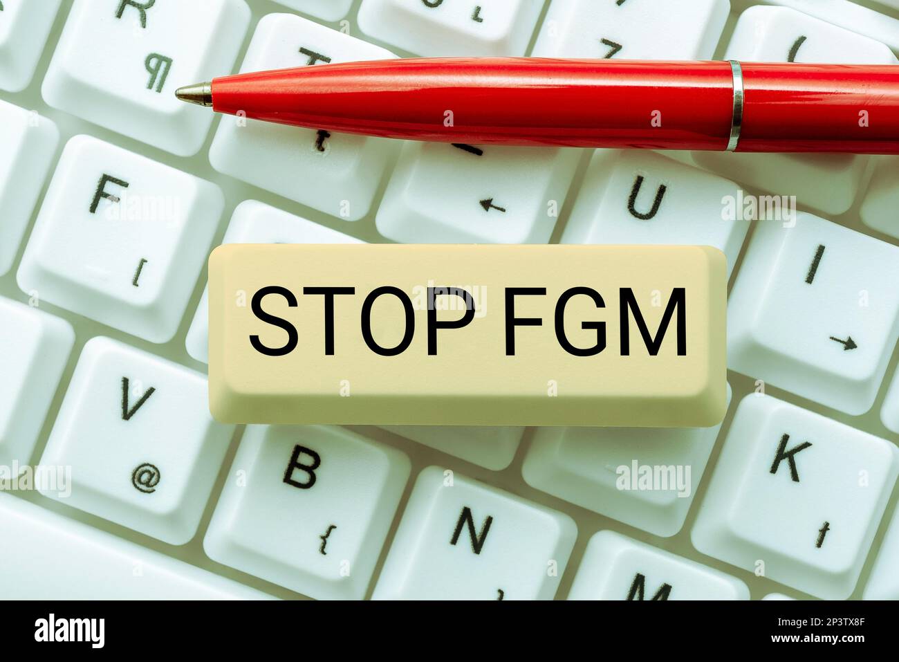 Conceptual caption Stop Fgm. Business showcase Put an end on female ...