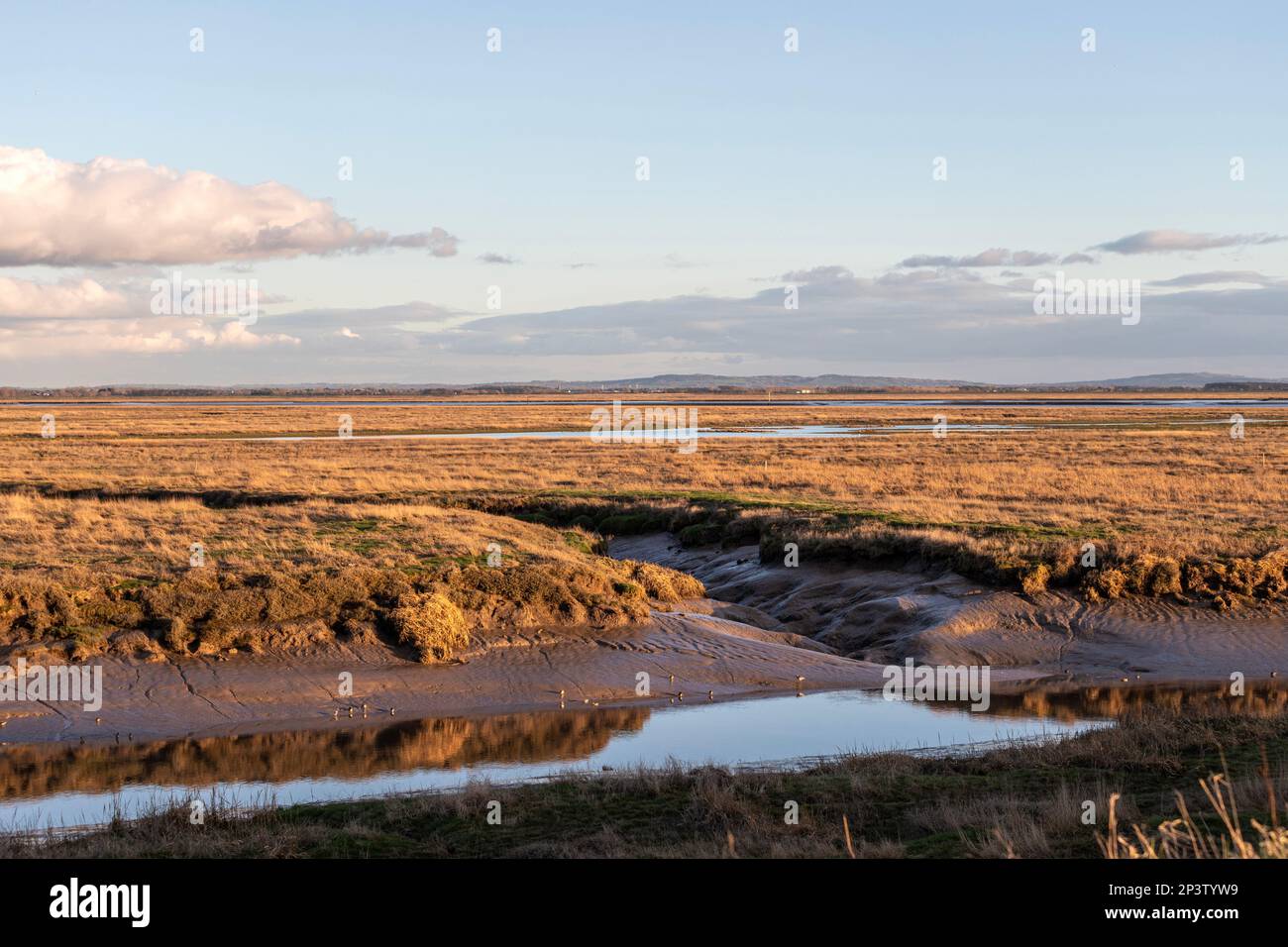 Salt marsh on the Ribble estuary, Lytham St Annes, Fylde in Lancashire ...