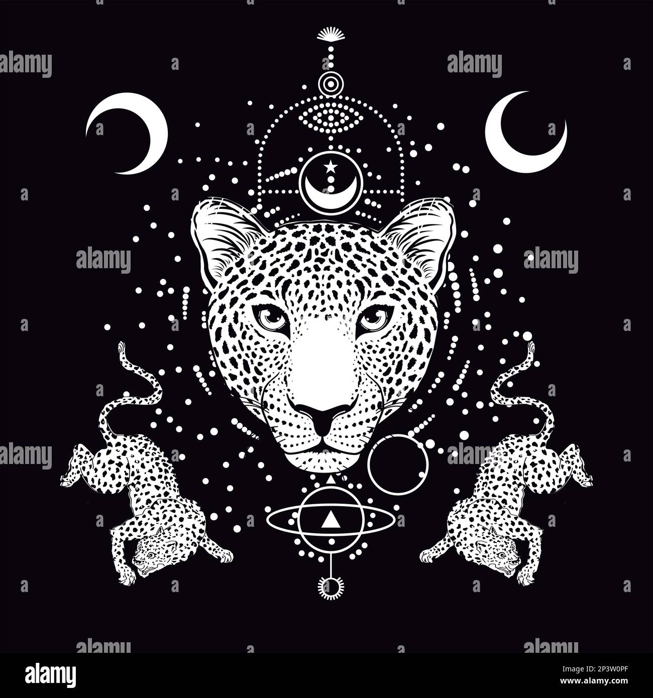 design for t-shirt with leopards and geometric elements isolated on ...