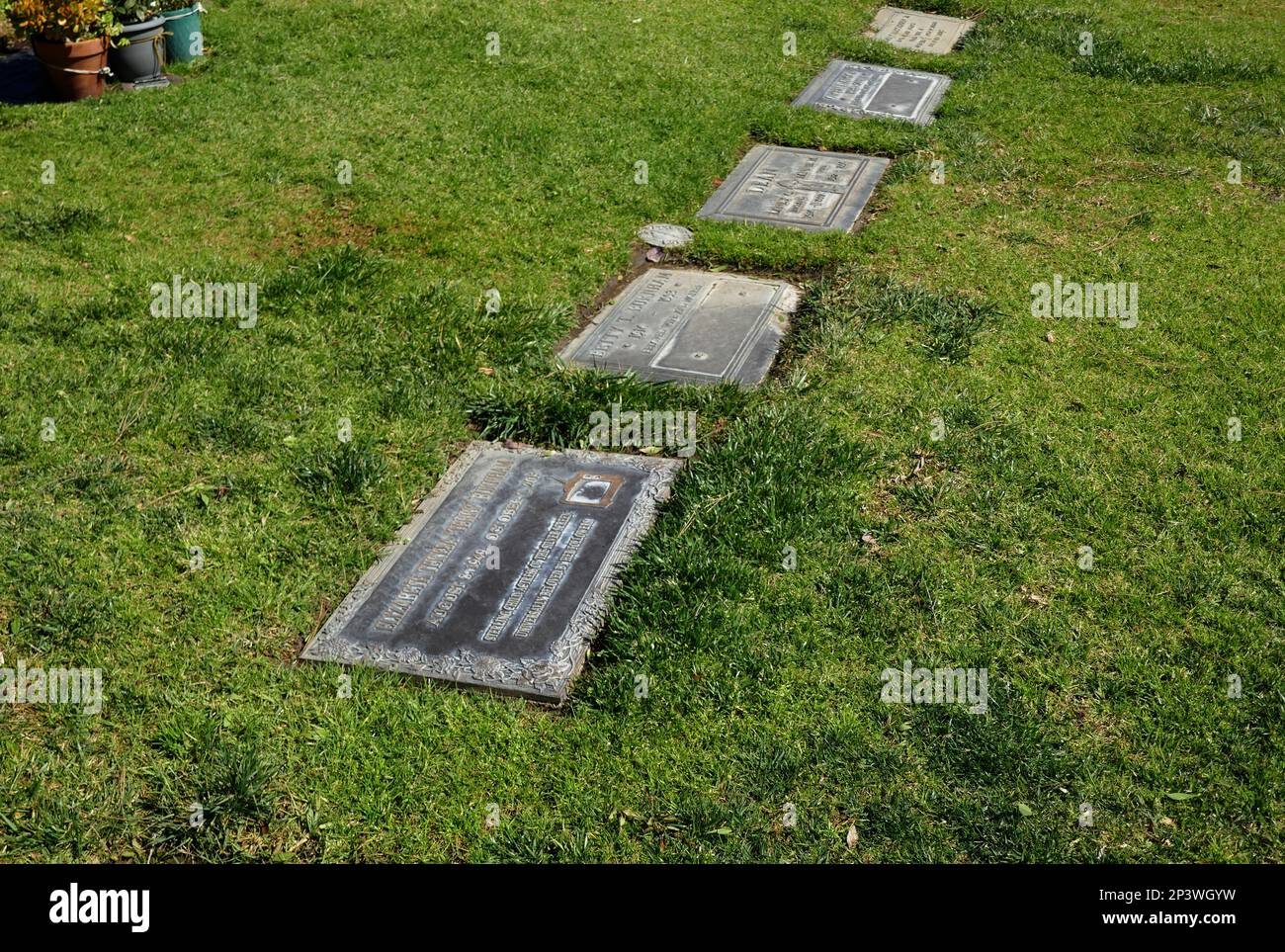Long Beach, California, USA 2nd March 2023 Actress Terry Burnham's ...