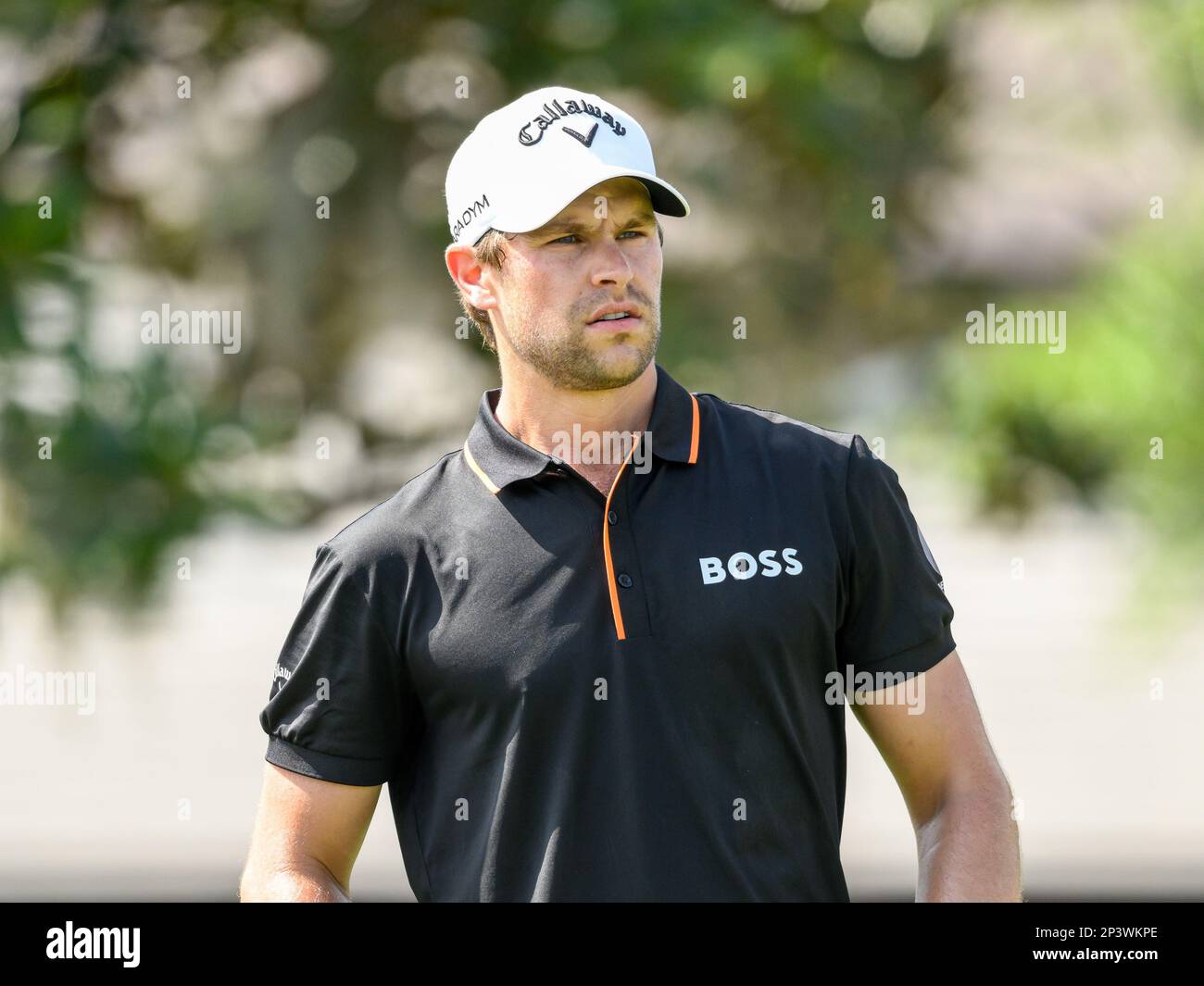 Thomas detry of belgium hi-res stock photography and images - Alamy