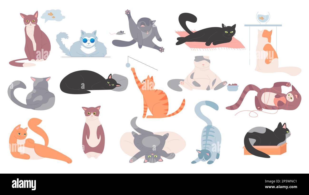 Cute cats set vector illustration. Cartoon funny pet with different ...
