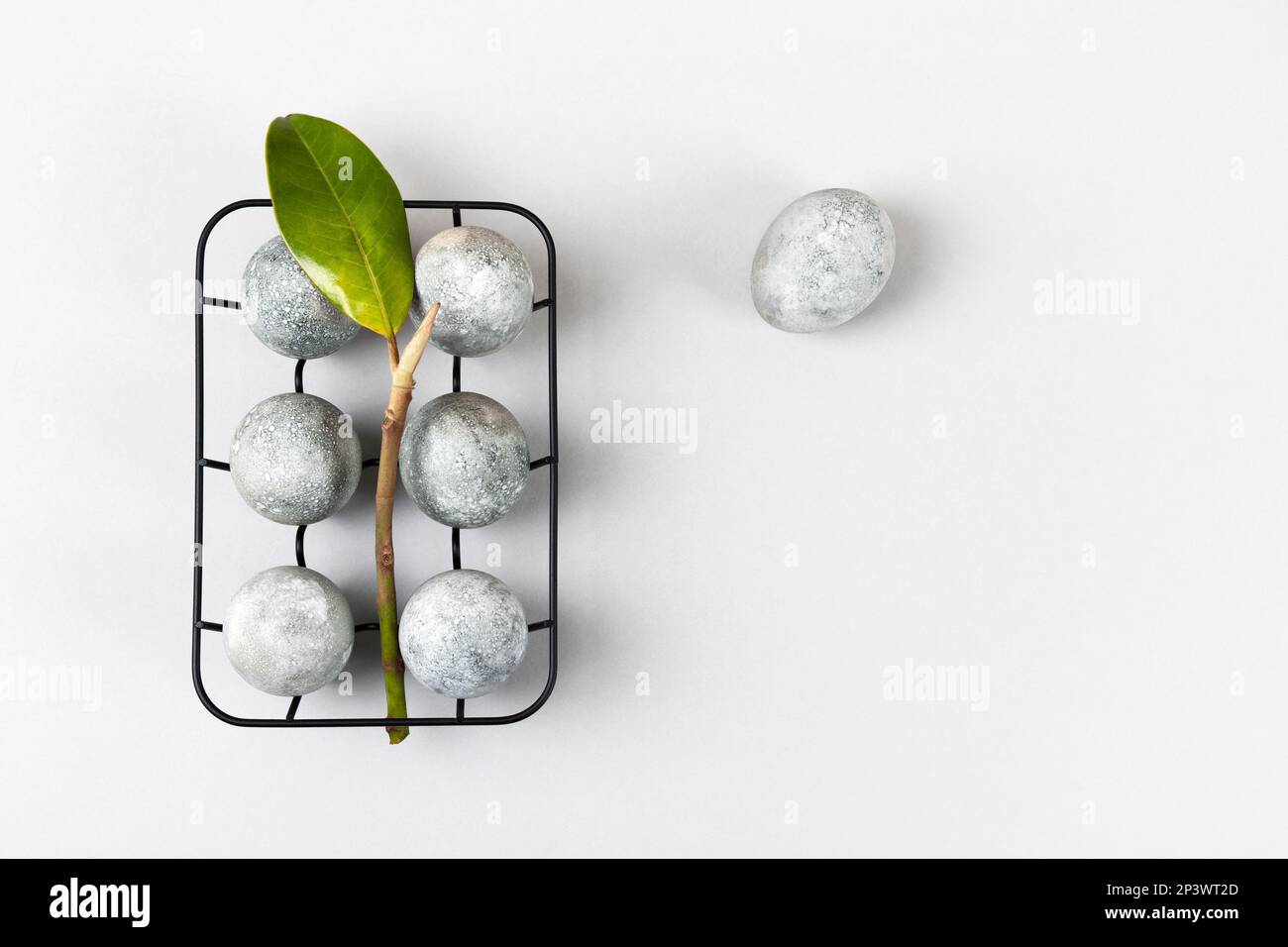 Grey Easter eggs with a sprig and a magnolia leaf on a grey background ...