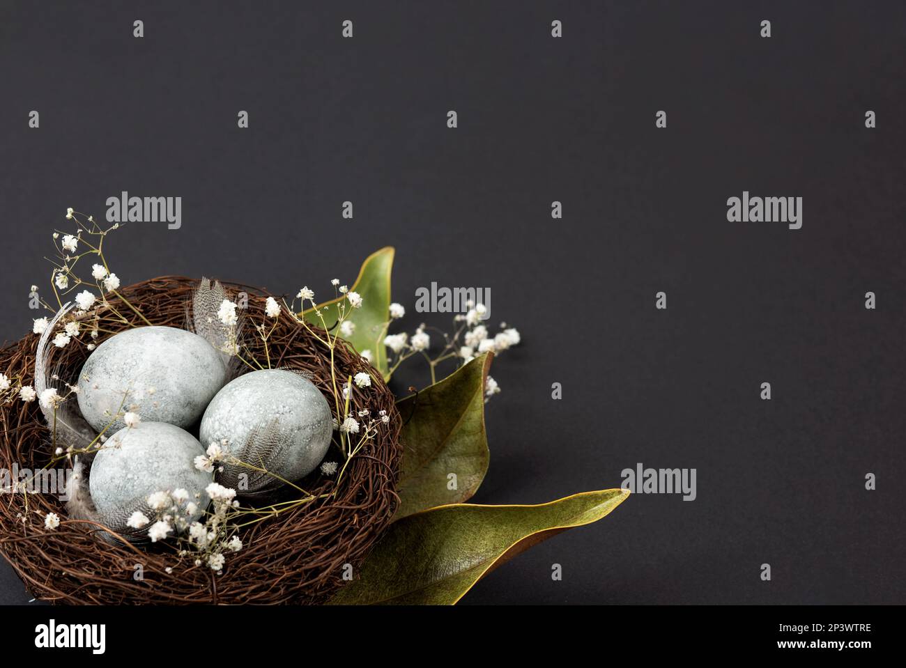 Brown nest of twigs with three gray Easter eggs, feathers, dried ...