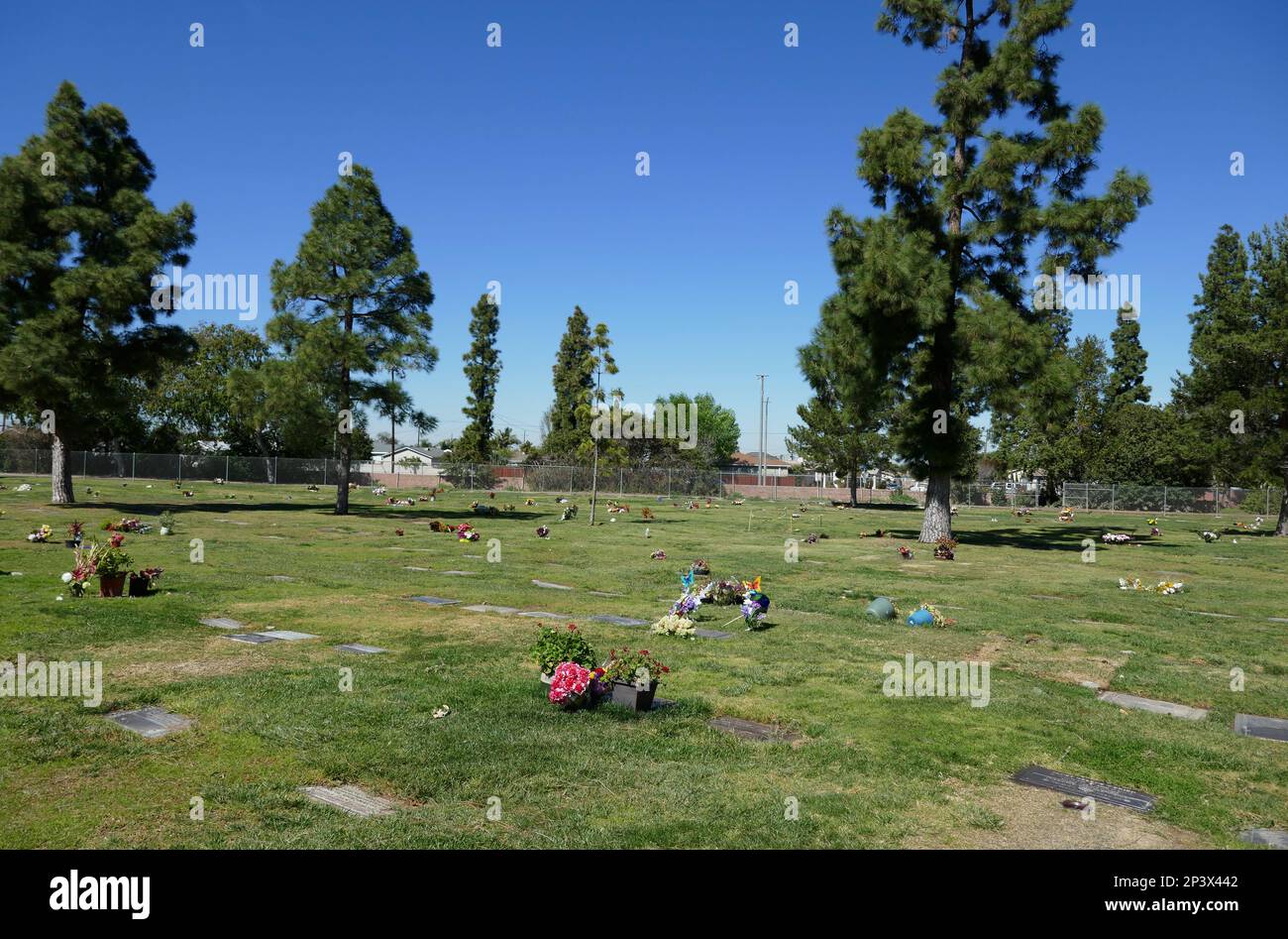 Long Beach, California, USA 2nd March 2023 Forest Lawn Long Beach ...