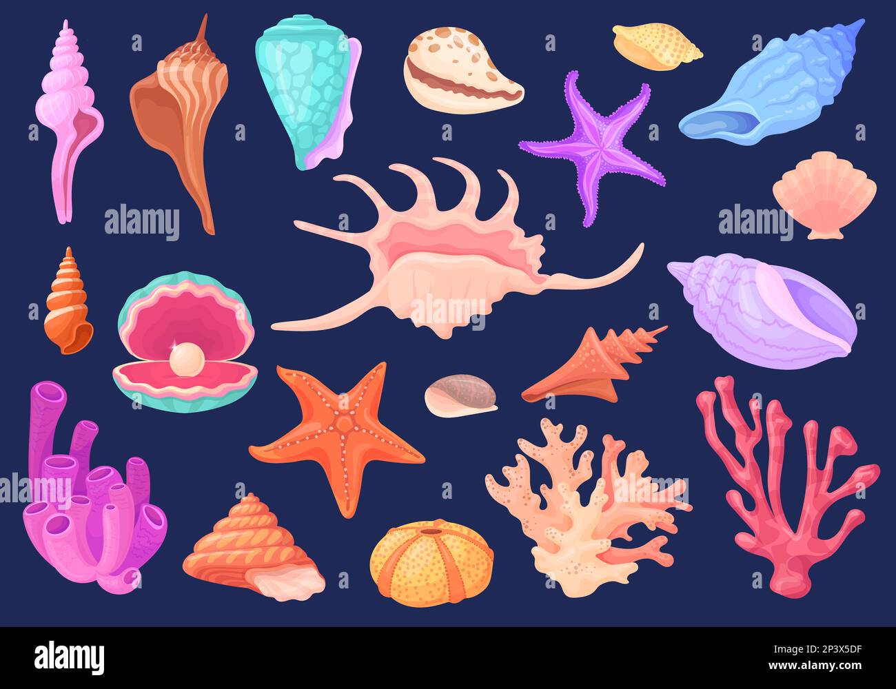 Underwater conches. Cartoon shellfish scallops ocean conch oyster ...
