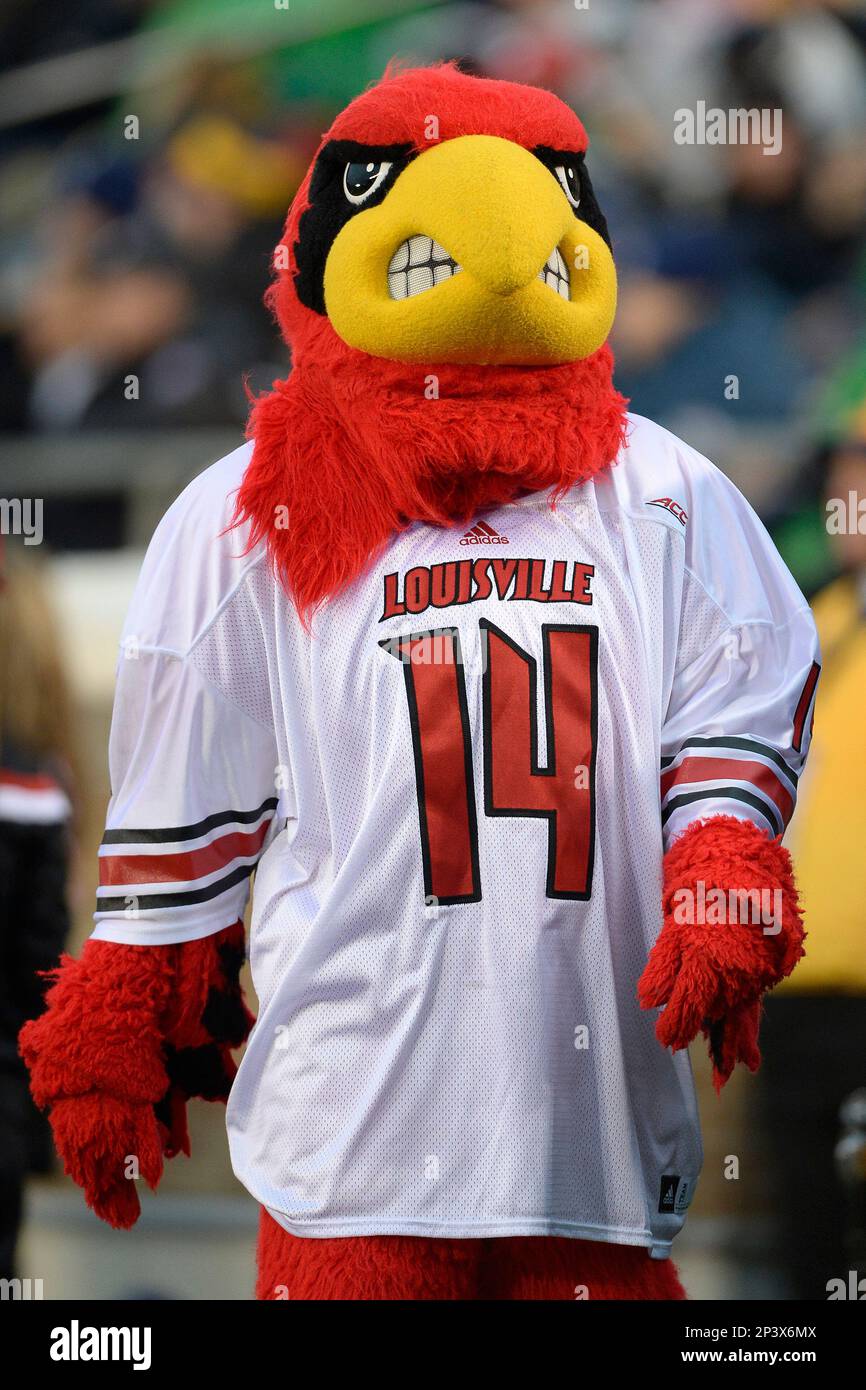 Louisville cardinals mascot hi-res stock photography and images - Alamy