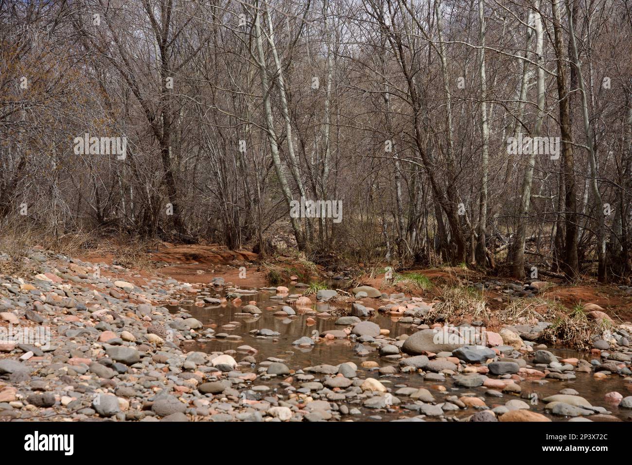 Rocks trees calm scene riverside Stock Photo - Alamy