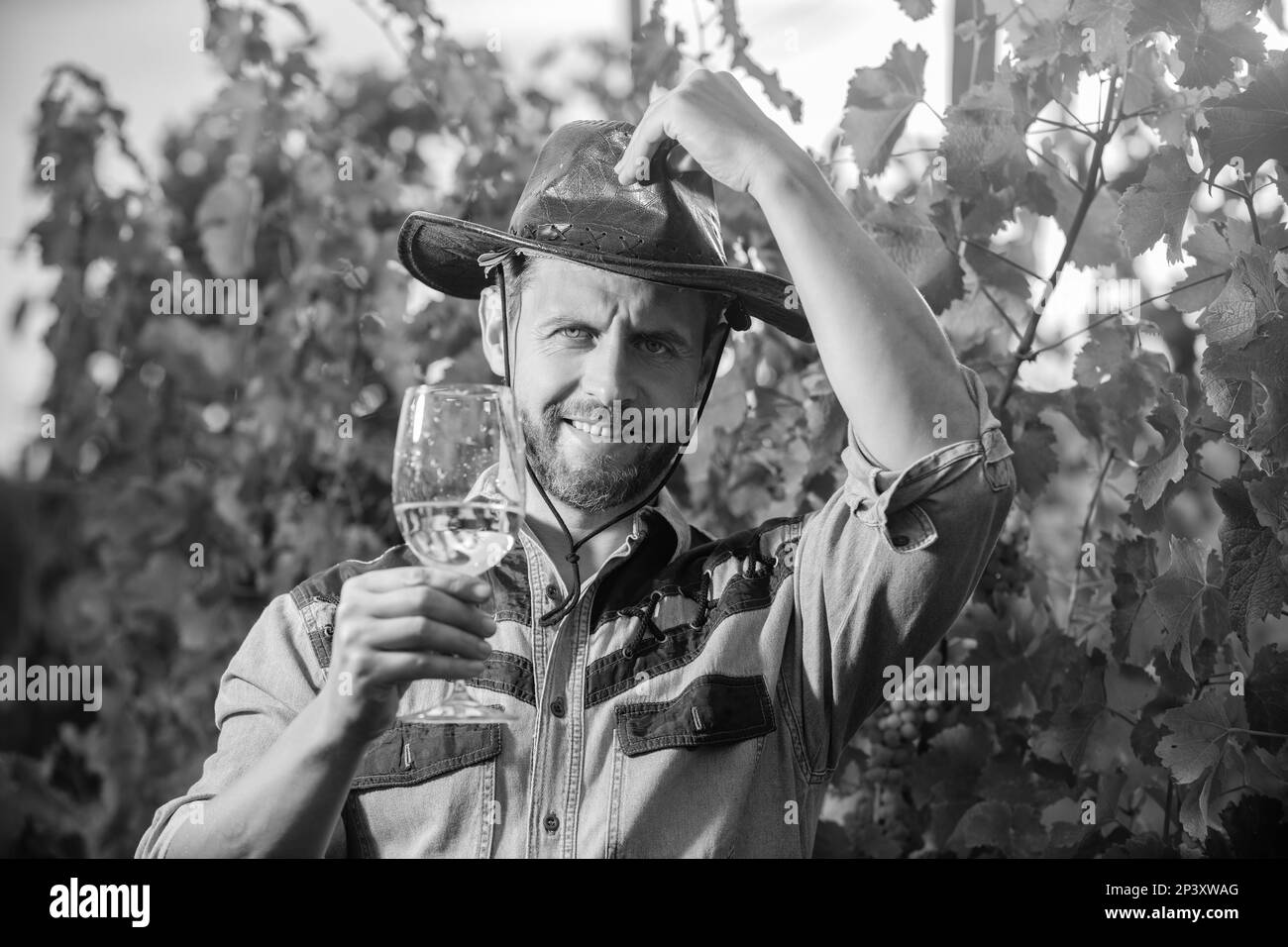 happy viticulturist man farmer drink wine at grape farm, vineyard owner Stock Photo - Alamy