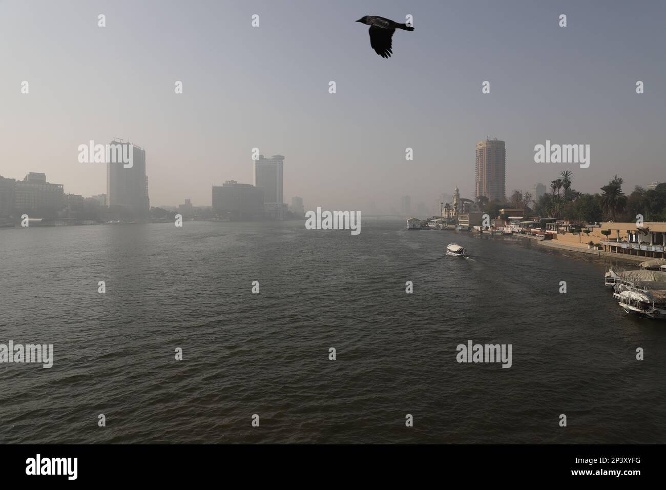view of the nile river from qasr el nile bridge Stock Photo - Alamy