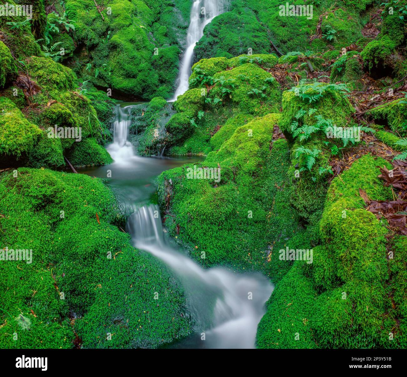 Marin waterfalls hi-res stock photography and images - Alamy