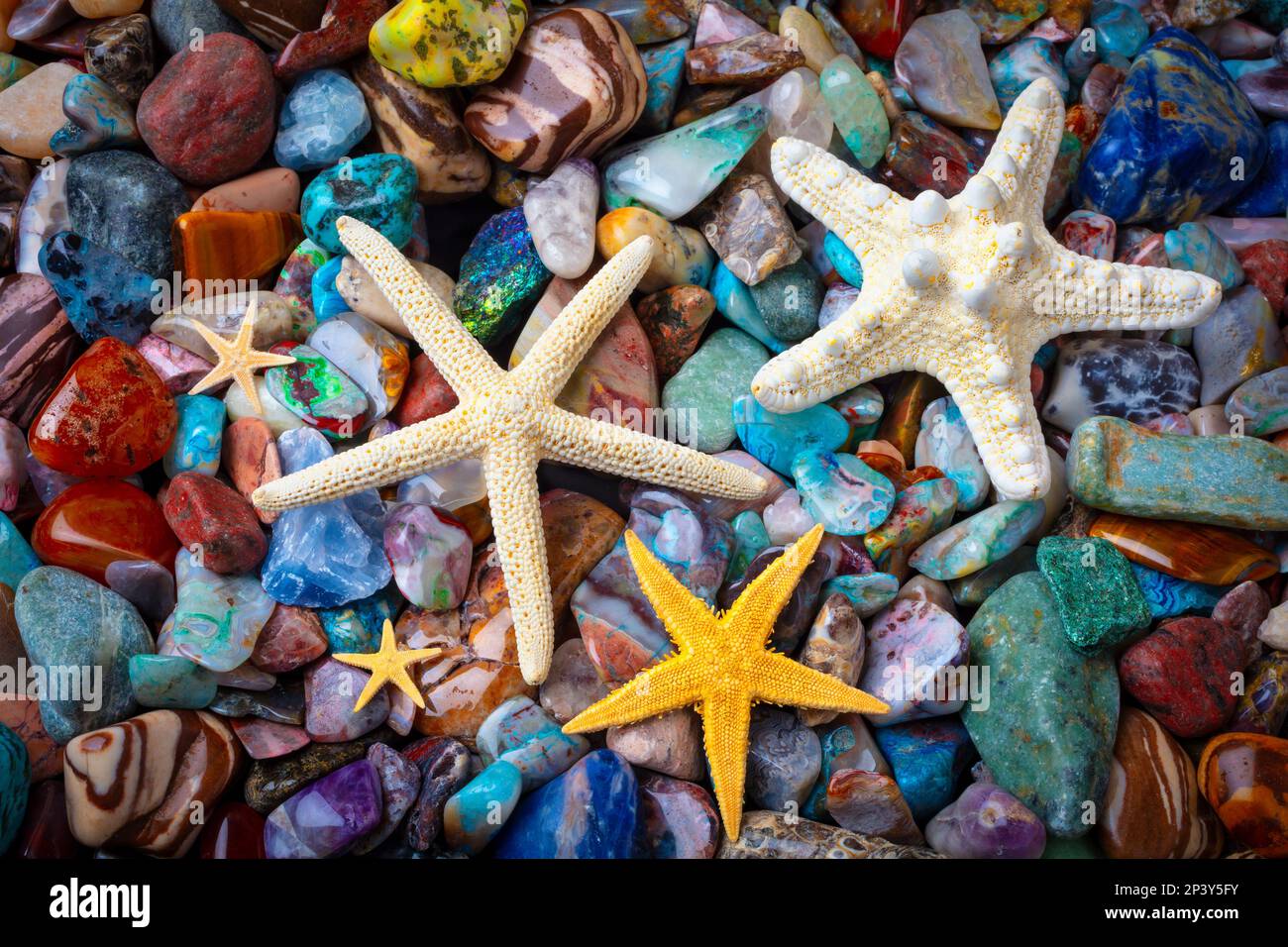 Stones And Starfish Still Life Stock Photo - Alamy