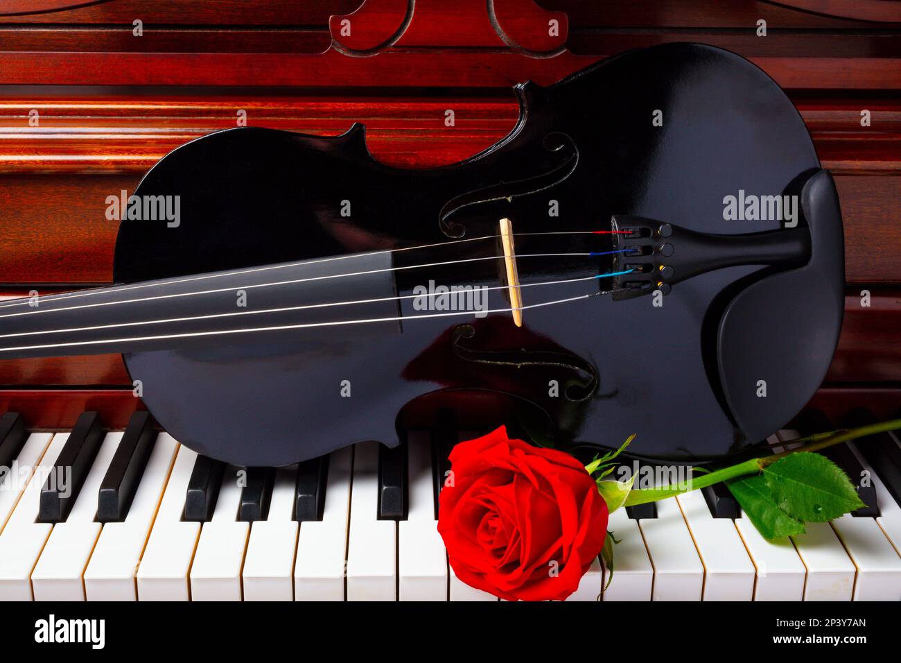 Red Rose And Black Violin On Piano Keys Still Life Stock Photo - Alamy