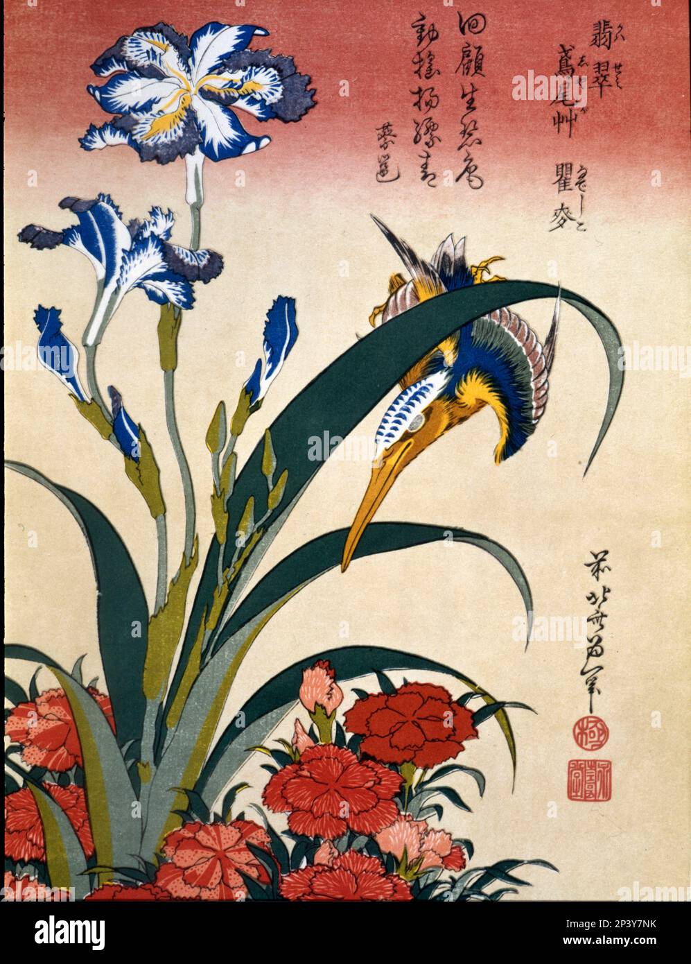 'Japanese Finch', 19th century Stock Photo - Alamy