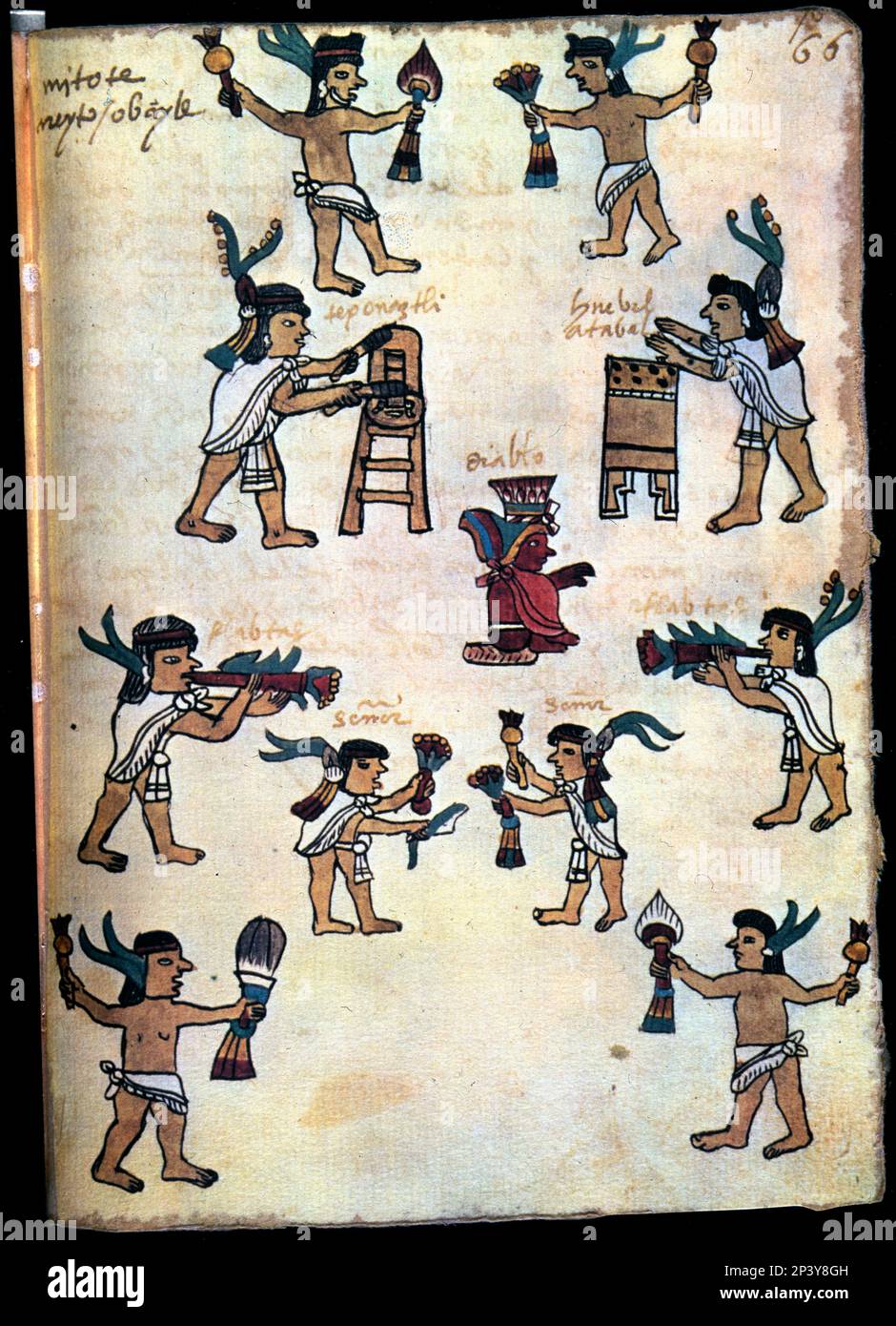 Mosqueador hi-res stock photography and images - Alamy