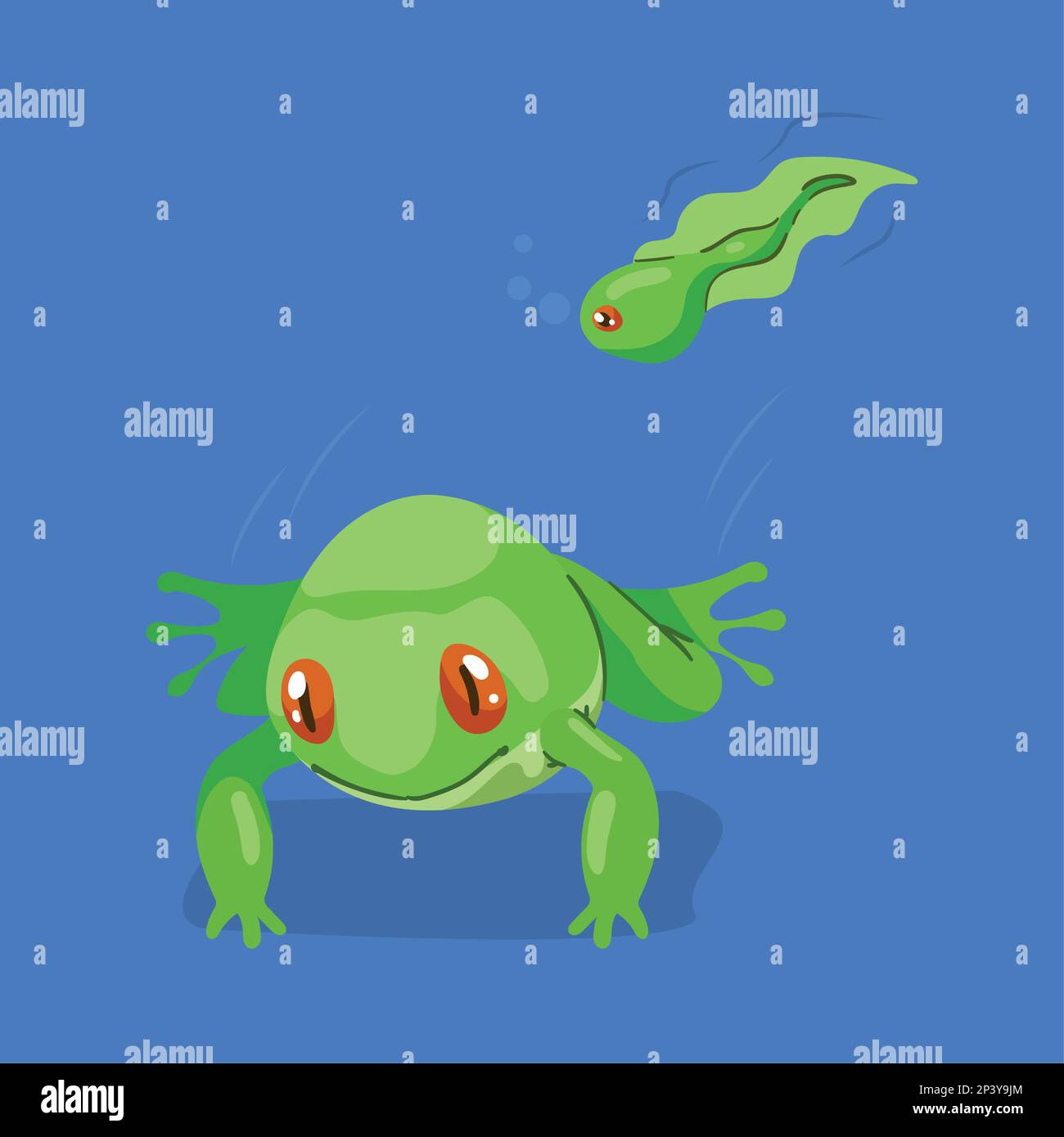 Tadpole frog species Stock Vector Images - Alamy