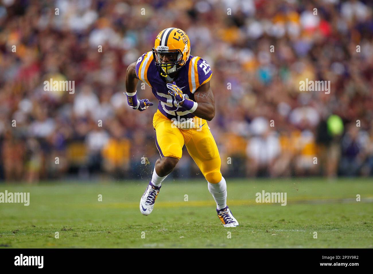 Ronnie Feist Lsu