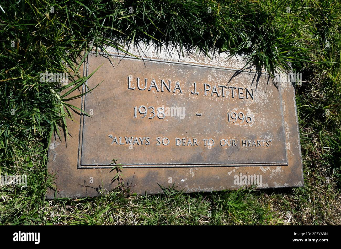 Long Beach, California, USA 2nd March 2023 Actress Luana Patten's Grave ...