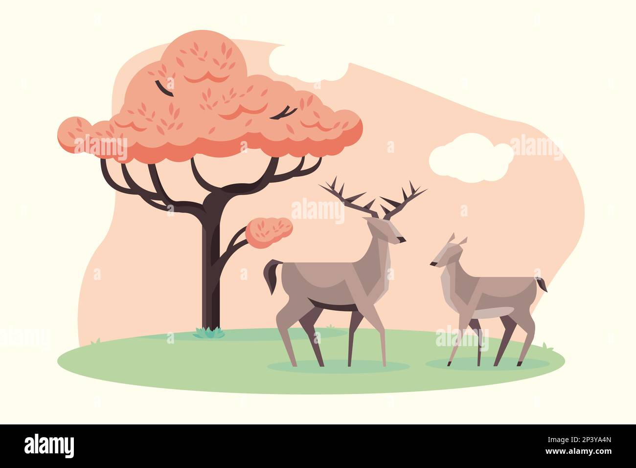 Fawn spring Stock Vector Images - Alamy