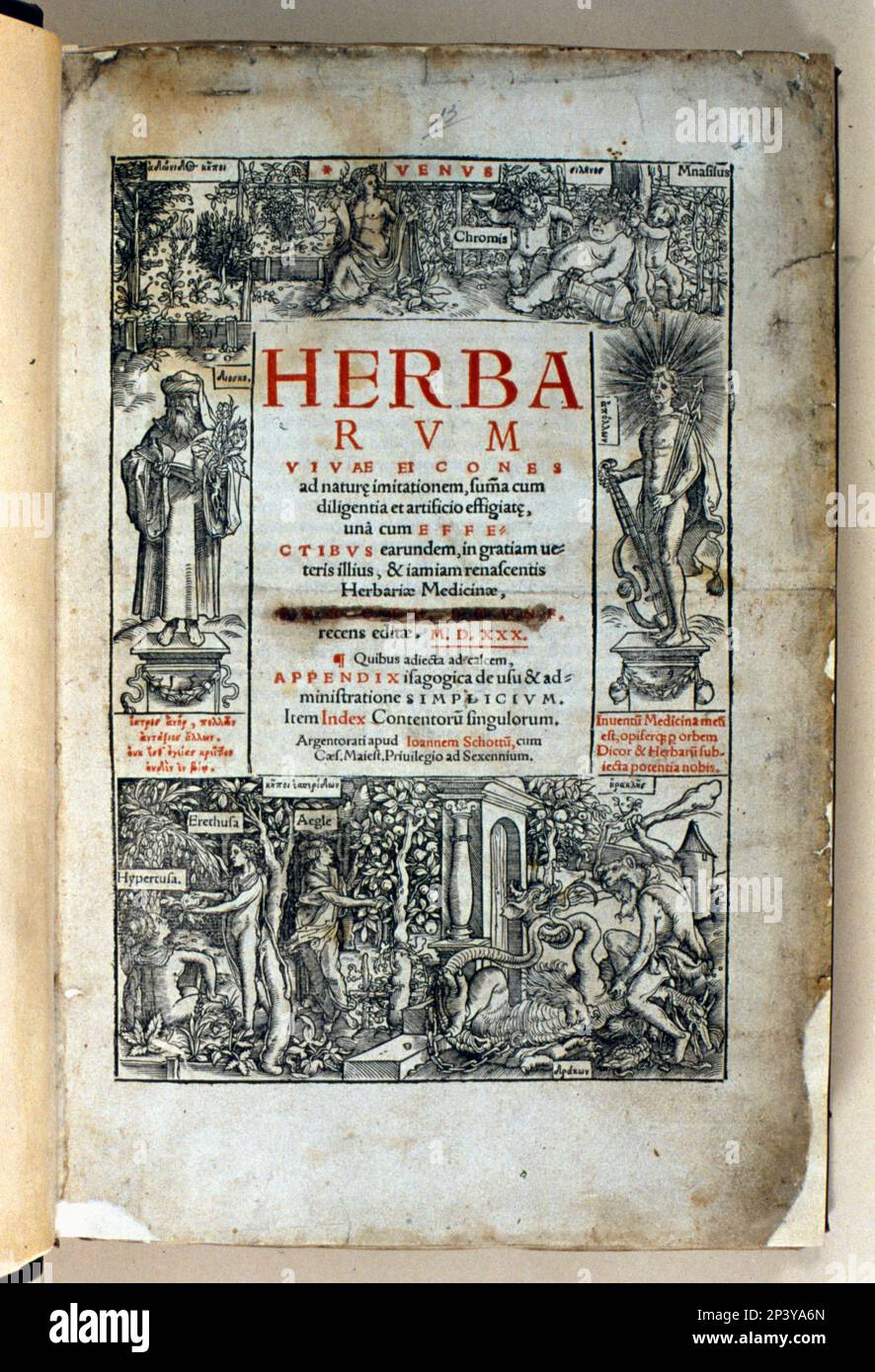 Herbarum brunfels hi-res stock photography and images - Alamy