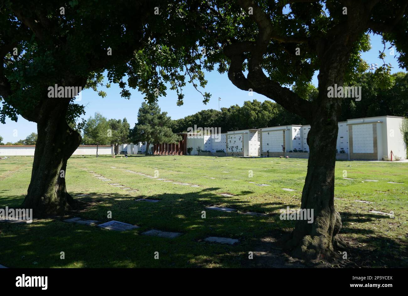 Long Beach, California, USA 2nd March 2023 Forest Lawn Long Beach ...