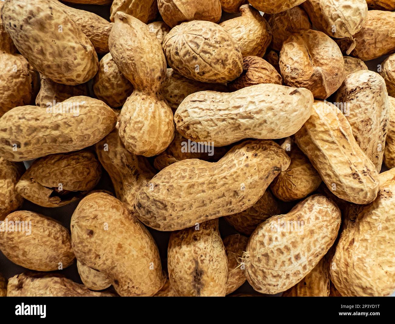 Peanuts shell hi-res stock photography and images - Alamy