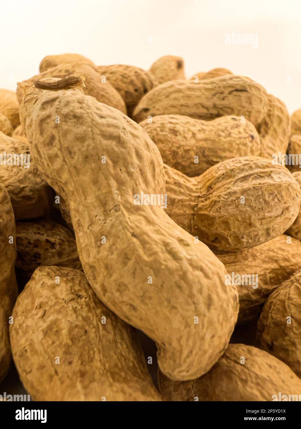 Monkey eating nuts hi-res stock photography and images - Alamy